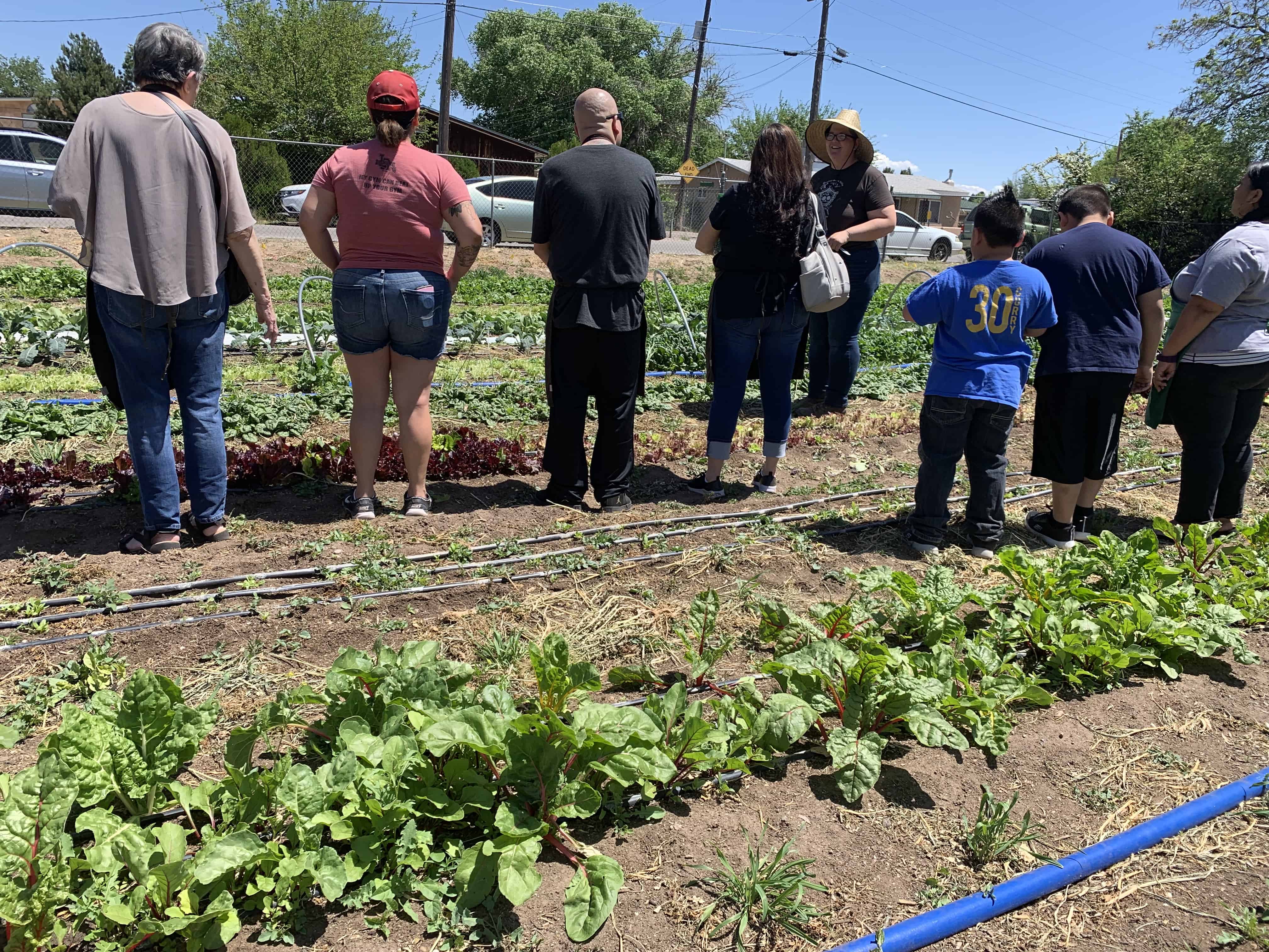 Why have a cooking class on a farm? - Sprouting Kitchen